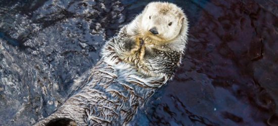 Portugal Travel Advice & Blog Posts - Portuguese Travel Guide